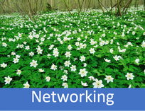 Forest & Nature Lab (ForNaLab) — Department of Environment — Ghent ...