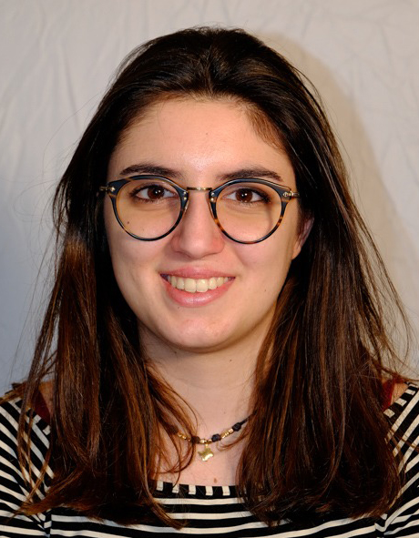 ir. Beatrice Moscoloni — Institute of Biomedical Engineering and ...