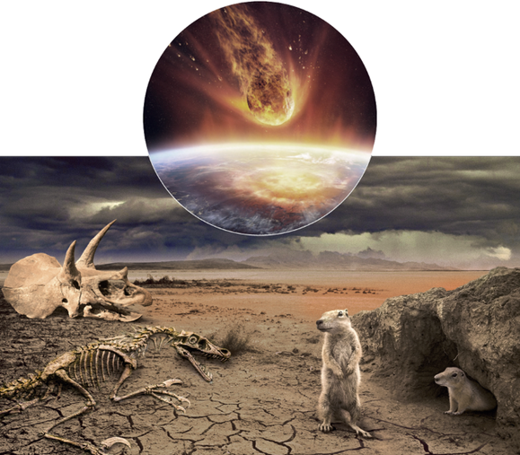 Asteroïde-inslag: Zwaveluitstoot minder dodelijk bij uitsterven ...