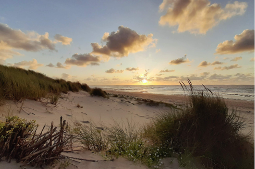 Building with nature — Marine@UGent — Ghent University